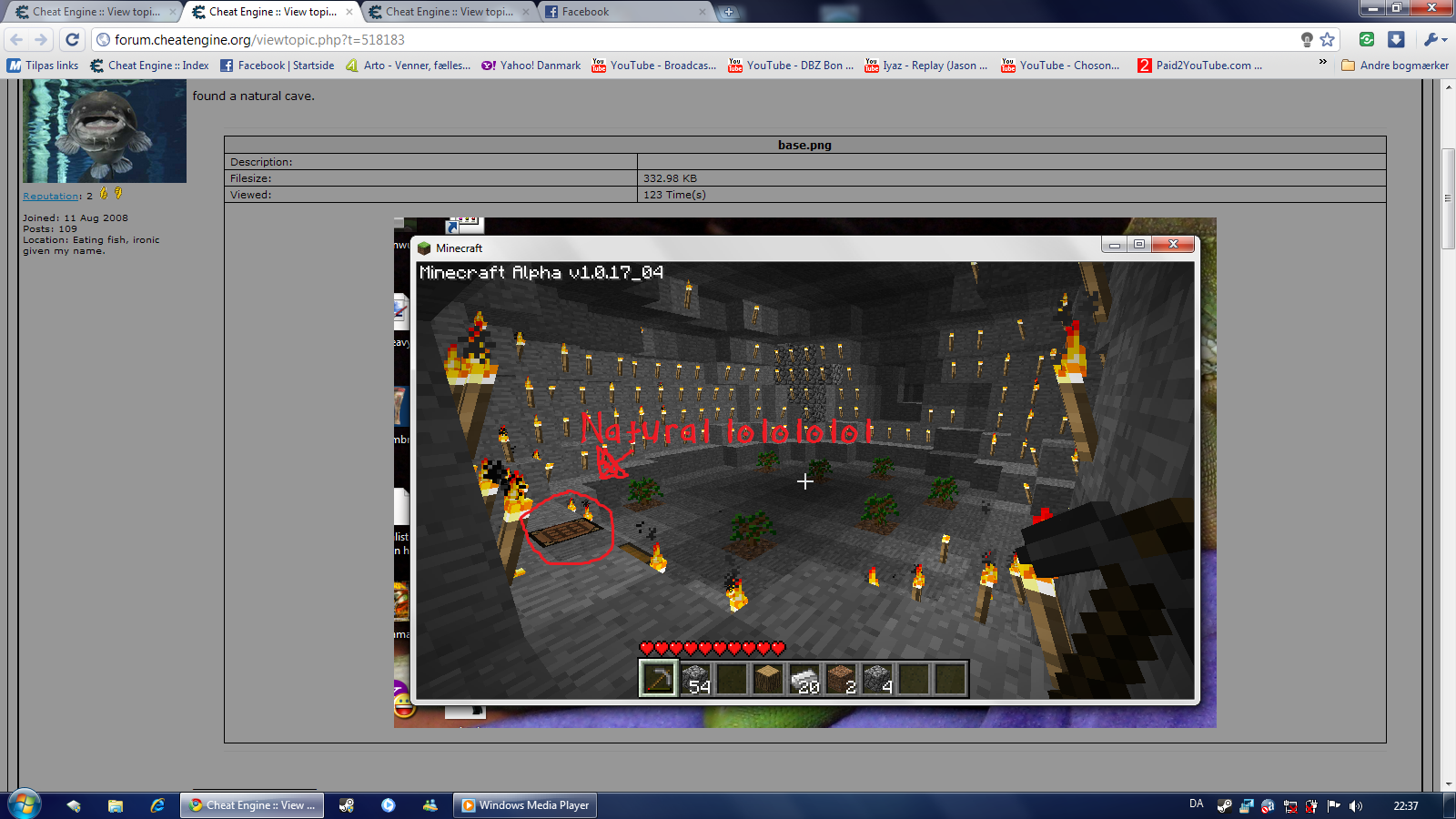 Cheat Engine :: View topic - Glorious torches!